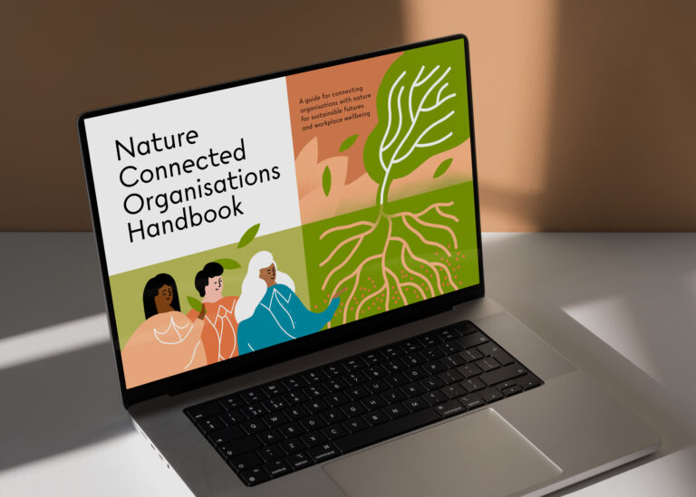 University of Derby • Open & Honest