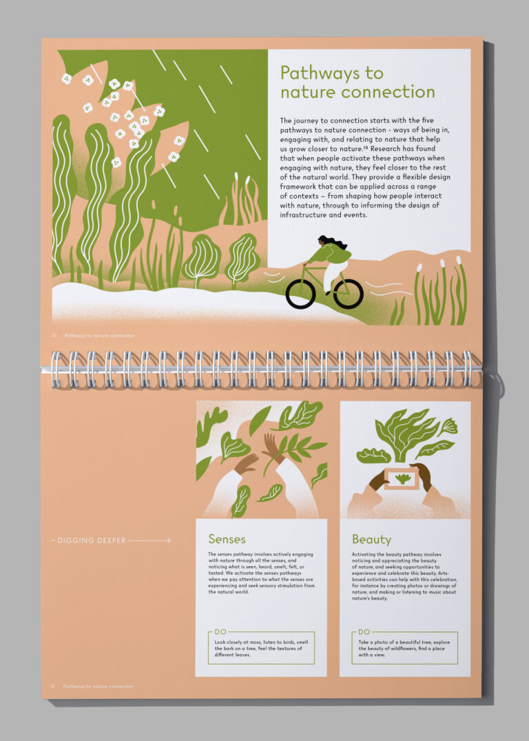 University of Derby • Open & Honest